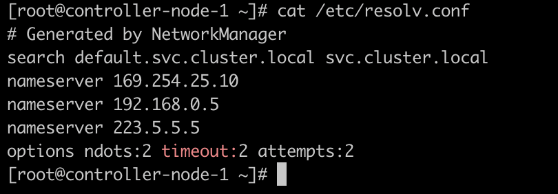 CoreDNS和NodeLocalDNS的域名解析 - Warner's Wiki